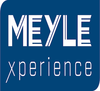 Meyle highlights success of its digital aftermarket experience ...